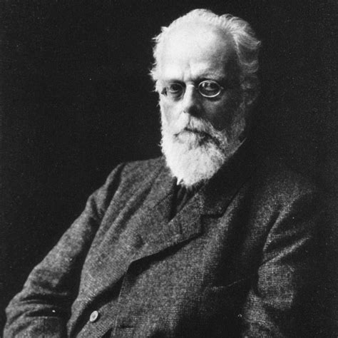 Als Das Leben Auf Den Tod Kam Die Erfindung Der Sterblichkeit Und