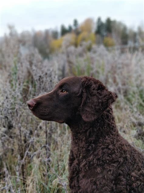 Resources For Sex Workers In Cebu R Cebu