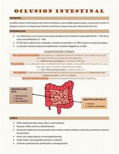 Oclusion Intestinal Medi Miau Noteskey Udocz