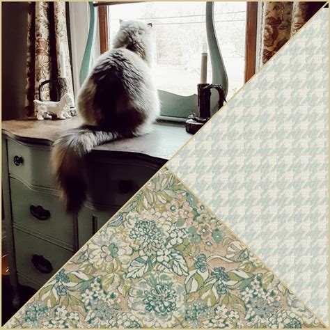 Roomscapes This Is Abigails New Favorite Birdsquirrel