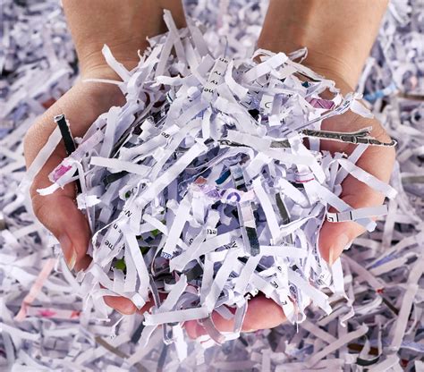 Paper Shredding Shredbee Shredding Services