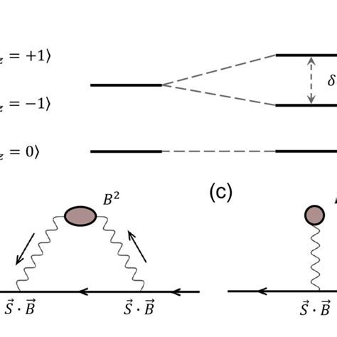 Time Reversal Symmetry In Terms Of General Theory Of Quantum Download Scientific Diagram