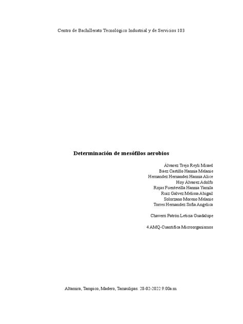 Determinación De Mesófilos Aerobios Pdf Unidad De Formación De