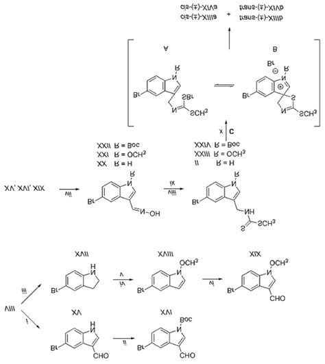 Synthesis Of Target Compounds Xiii And Xiv By Synthetic Route C