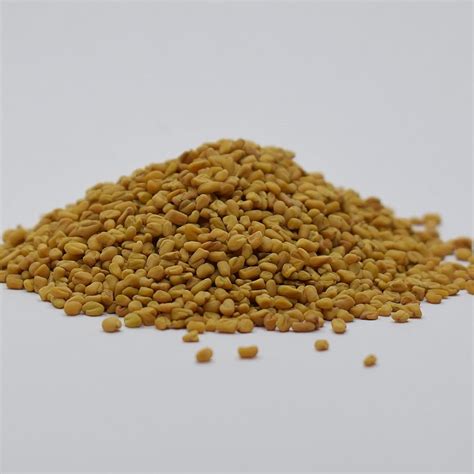 Fenugreek I Methika I Trigonella Foenum Graceum