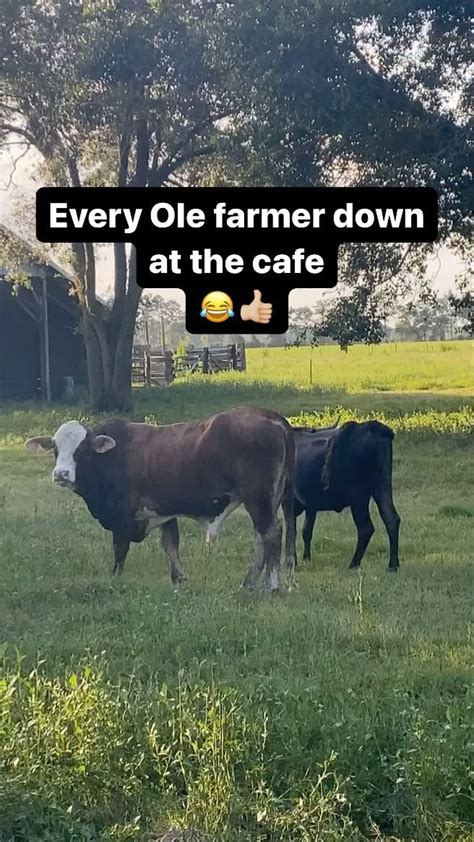 Colby Wright Colbywrightbl17 • Instagram Photos And Videos