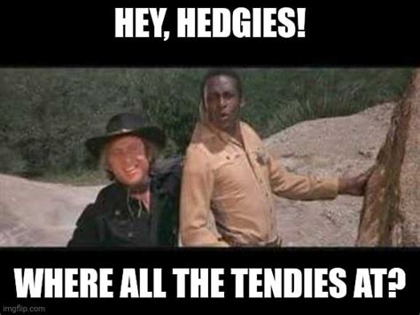 Candygram For Mr Mongo R Superstonk