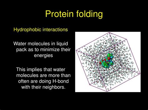 Ppt Protein Folding Powerpoint Presentation Free Download Id4463362