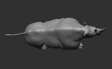 Stl File Black Rhinoceros Stl File 🦏 ・3d Print Model To Download・cults