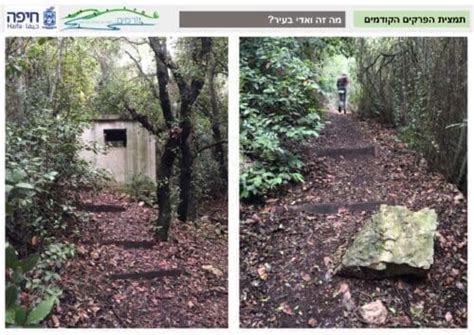 Haipo News Wadi Master Plan Haifapage06 חי פֹּה תאגיד החדשות