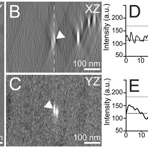 Generating A 3d Model Of A Nanoparticle Cluster A Schematics