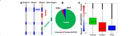 identification of duplicate genes and their relationship with