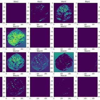 Pdf Detection Of Apple Plant Diseases Using Leaf Images Through Convolutional Neural Network