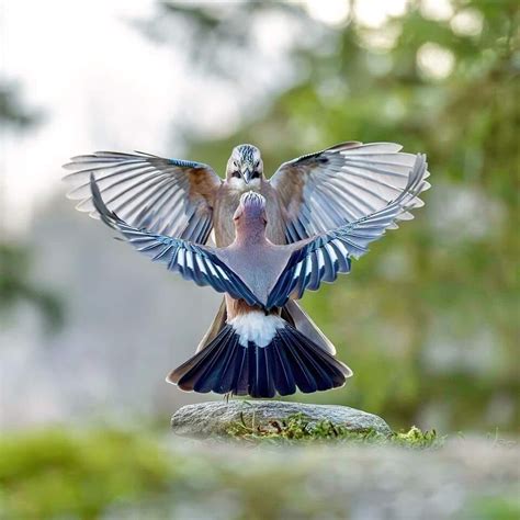 Kamran Yaghmaei Posted On Linkedin