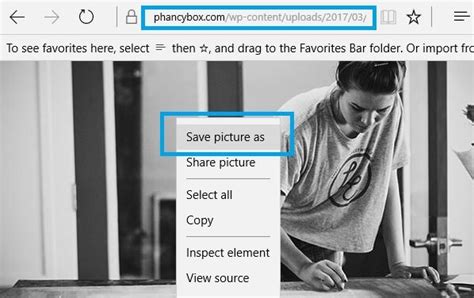 How To Save An Image From A Website Phancybox Web Design