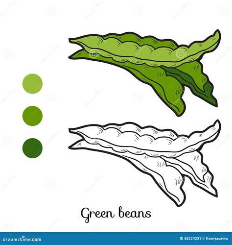 Coloring Book Fruits And Vegetables Green Beans Cartoon Vector