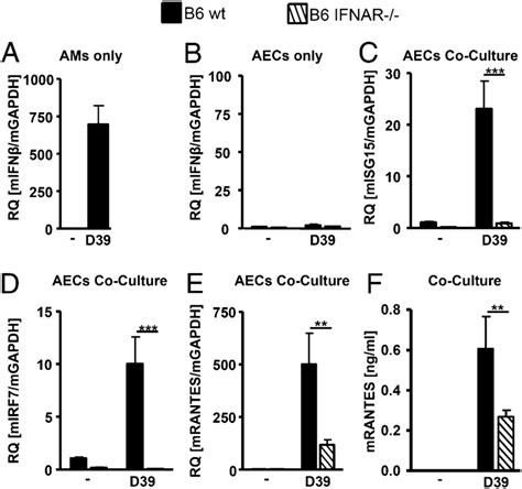 Type I Ifns Produced By Ams Regulate The Immune Response Of Aecs In A
