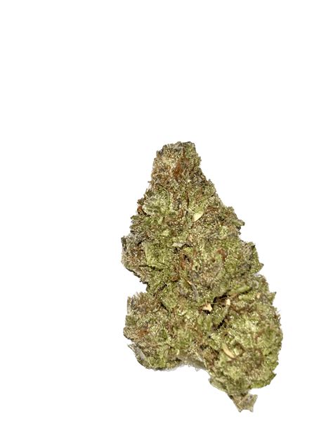 Apple Jack I 50 I 50s Dynastree