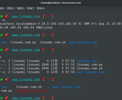 跟我学美化您的Linux终端与Shell提示符 Linux迷