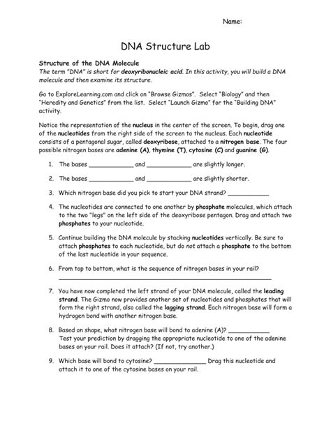 Dna Structure Lab Worksheet