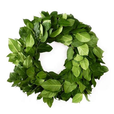Salal Wreath 20 Fresh Garlands Wreaths Leaf Wreath