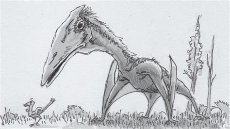 Hatzegopteryx Fossil Mark P Wittons Blog May 2016