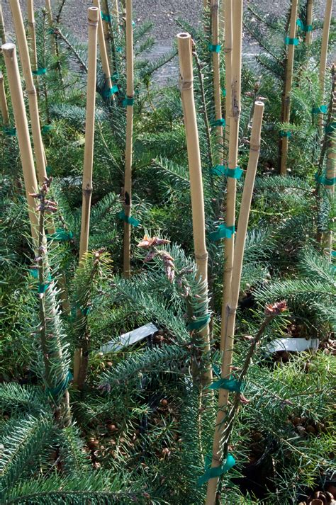 Paper Is A Renewable Product Country Traveler Online