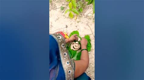 Jay Nag Raja He Raja 🐍🐍🐍🙏🙏 Youtube