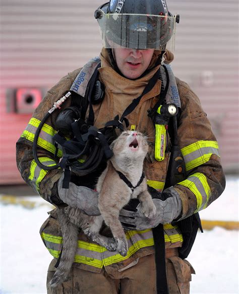 48 Firefighters Who Risked Their Lives To Save Animals Bored Panda