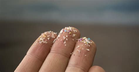 New Review Highlights Human Health Risks From Microplastic Exposure