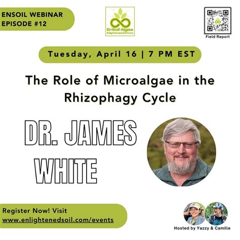 Learn About Microalgae In Rhizophagy Cycle Enlightened Soil Corp