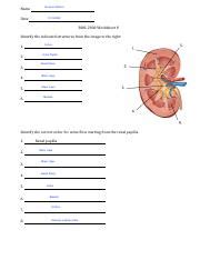 BIOL Worksheet Pdf Name Date Giovanni Course Hero