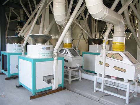 Quinoa Processing Solution Grain Processing Equipment