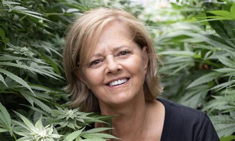 Seine Wurzeln In Der Cannabiskultur