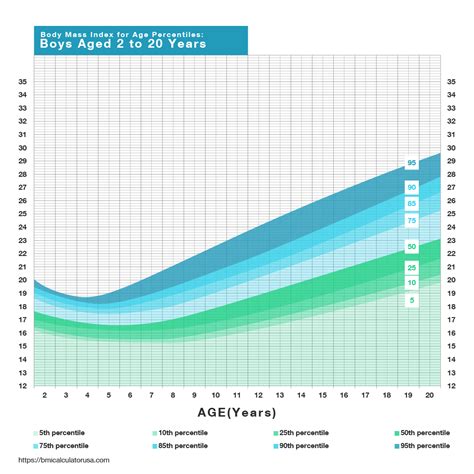 Free Bmi Calculator Calculate Your Body Mass Index