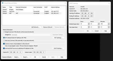 Network Adapter In Nat Mode Not Working In Vmware Workstation Pro 16x