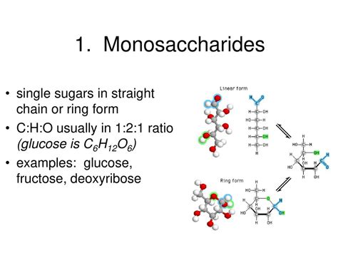 Unit 1 Biochemistry Macromolecules A Carbohydrates Ppt Download