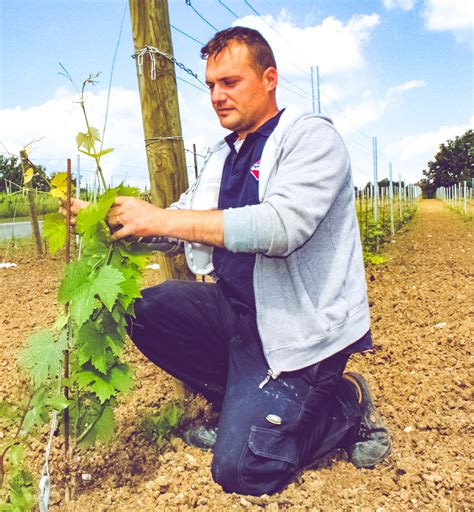 Daniel Vecchio Palazzo Tronconi