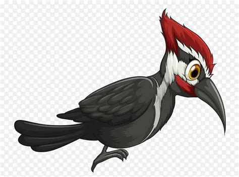 飞禽走兽png图片素材下载图片编号qkbddnvy 免抠素材网