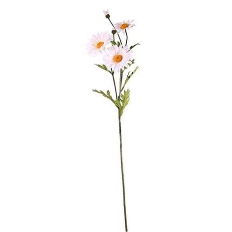 Cottage Garden Daisy Spray Northwest Greetings Balloon World