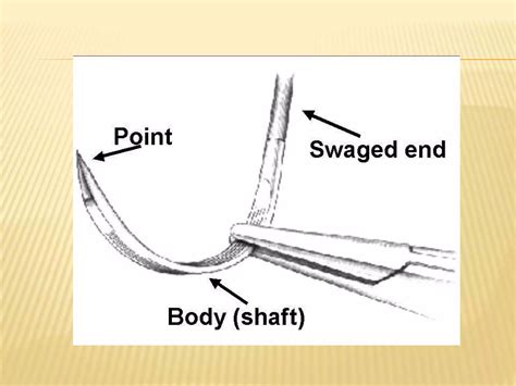 Basic Surgical Skills Pptx