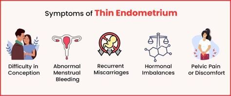 Thin Endometrium Symptoms Causes And Treatment