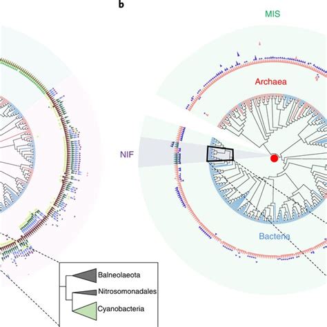 Processes And Components Of Fe S Cluster Biogenesis Pathways A Main