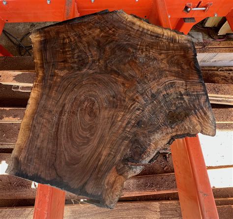Walnut Wood Slab 30 X 25 12 X 1 12 Frison Logue Hardwoods