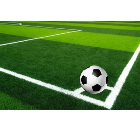 The Evolution Of Football Fields Grass