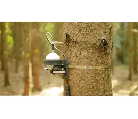 Tree Measurement Tools For Accurate Tree Assessments