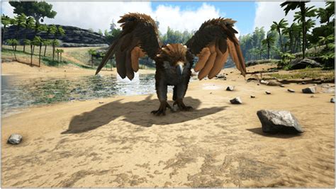 Ark Griffin Guide Abilities Taming Food Saddle Breeding Drops