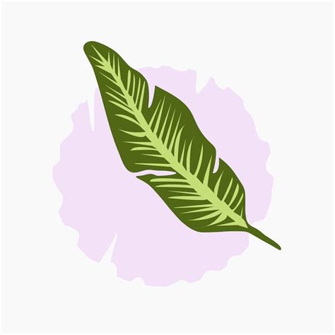 Premium Vector Green Leaf On Pink Background