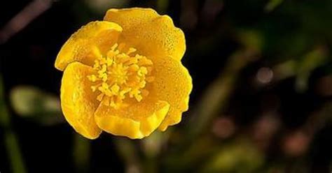 滨州代开玻璃胶发票 Imgur