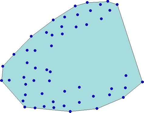 Convex Hull In Computer Vision Infoscribe Ai Blog